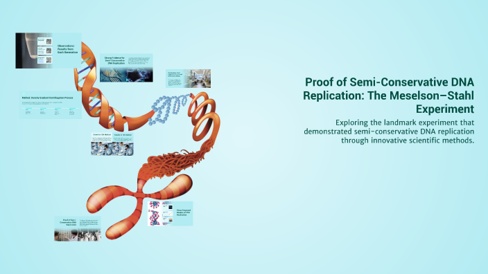 Proof of Semi-Conservative DNA Replication: The Meselson–Stahl ...