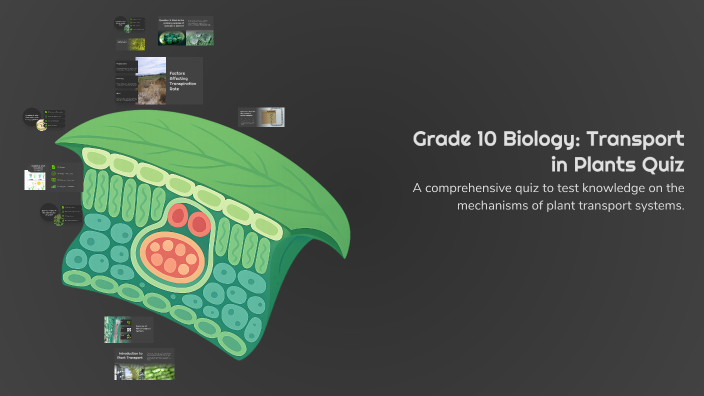 Grade 10 Biology: Transport in Plants Quiz by Wilma Webber on Prezi
