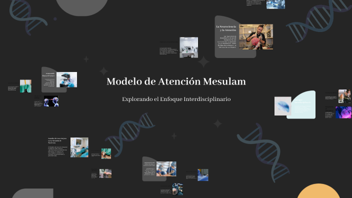 Modelo Mesulam by Gabbiihum on Prezi