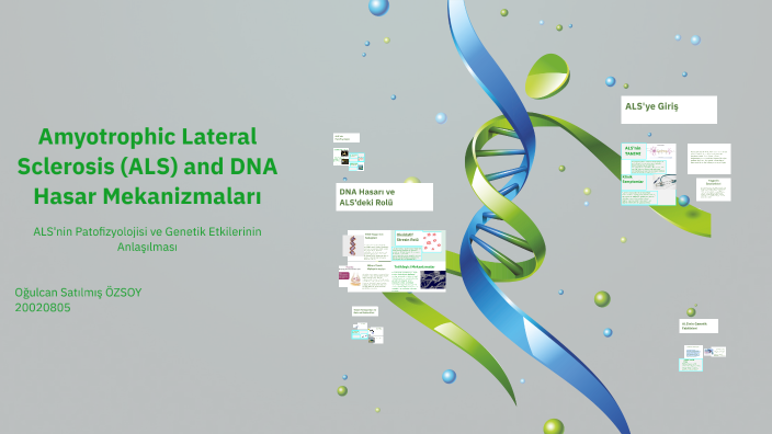 Amyotrophic Lateral Sclerosis (ALS) and DNA Damage Mechanisms by ...
