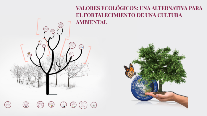 VALORES ECOLÓGICOS: UNA ALTERNATIVA PARA EL FORTALECIMIENTO by jose ...