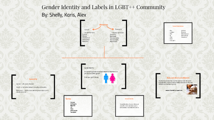 Gender Identity and Labels in LGBT++ Community by Alexandra O'Neil on Prezi
