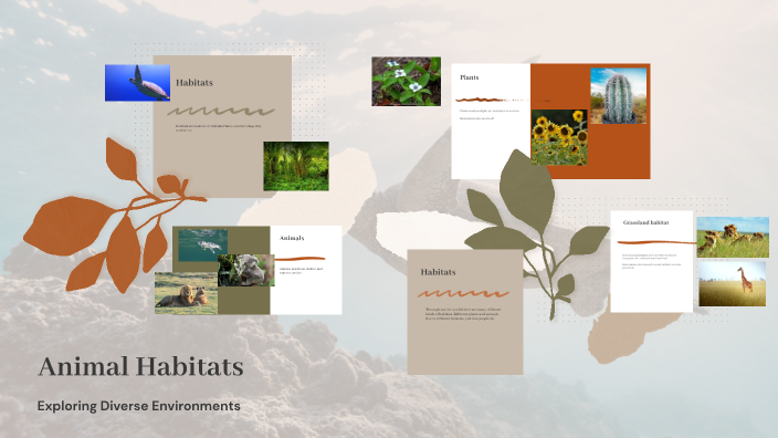 Animal Habitats by Tabitha Gregory on Prezi