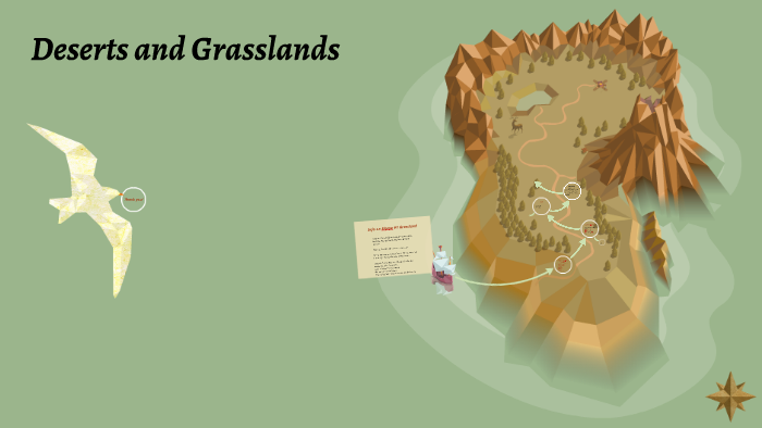 Deserts and Grasslands by Kyle B on Prezi