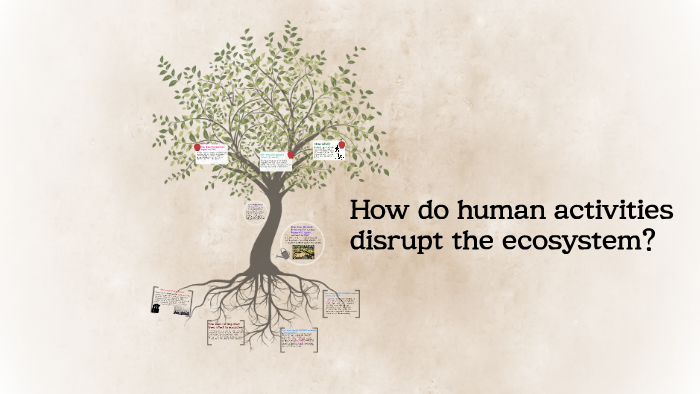How do human activities disrupt the ecosystem? by Sujin Ham on Prezi