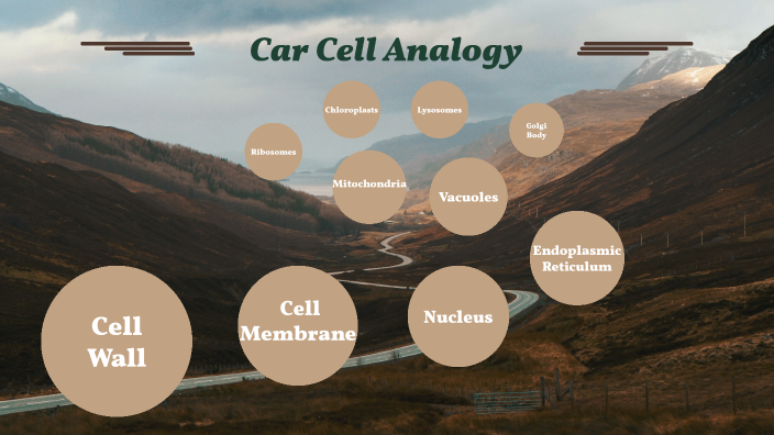 Car Cell Analogy by Aeriel Webb on Prezi
