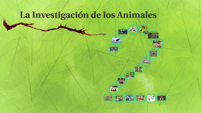 la investigación de los animales part-2 by cristian tellez on Prezi