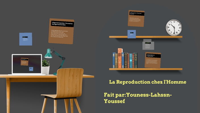 La Reproduction chez l'Homme by Ali Asdrn on Prezi