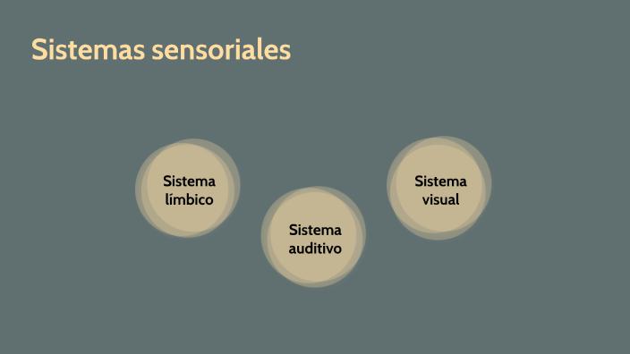 Sistemas sensoriales by Valeria Solís Gracián on Prezi