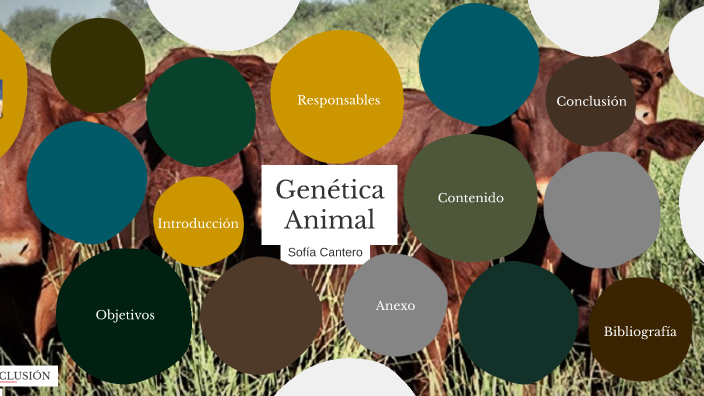 sofi presentacion by Sofía Cantero on Prezi