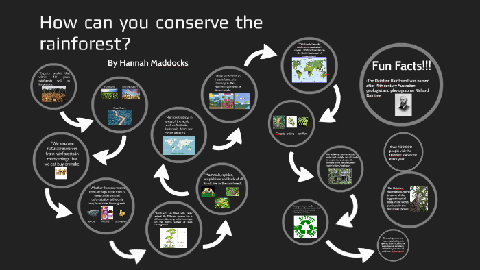 Everything you need to know about the Daintree rainforest by Hannah ...