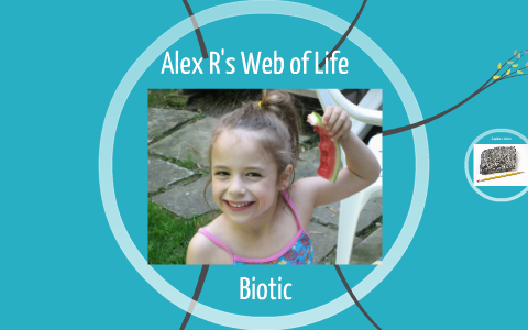 Alex Rozenberg's Web of Life by Lex A on Prezi