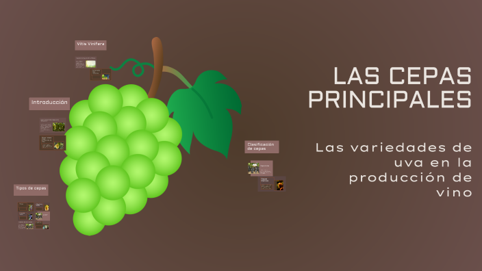 LAS CEPAS PRINCIPALES by victor gamero on Prezi