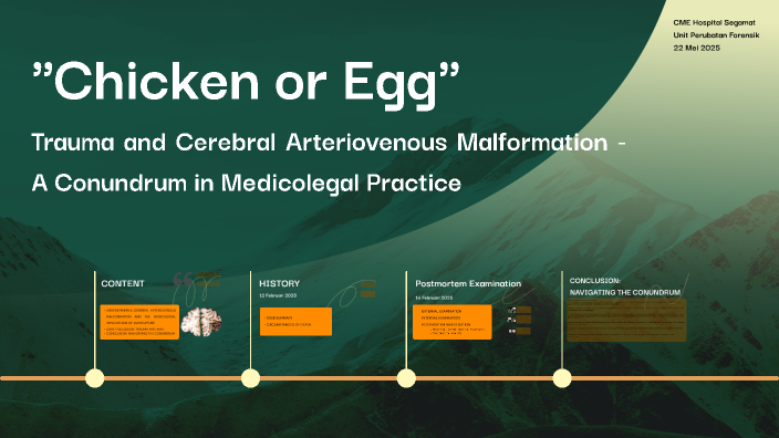 Chicken or Egg Trauma and Cerebral Arteriovenous Malformation by Abdul ...