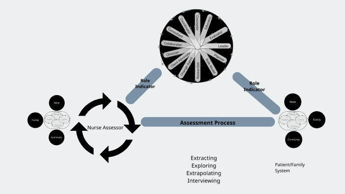 Roles of the Nurse Practitioner by Lyn Behnke on Prezi