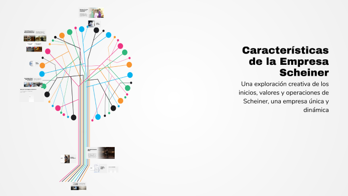 Características de la Empresa Scheiner by Sara Michel Galeano Correa on ...