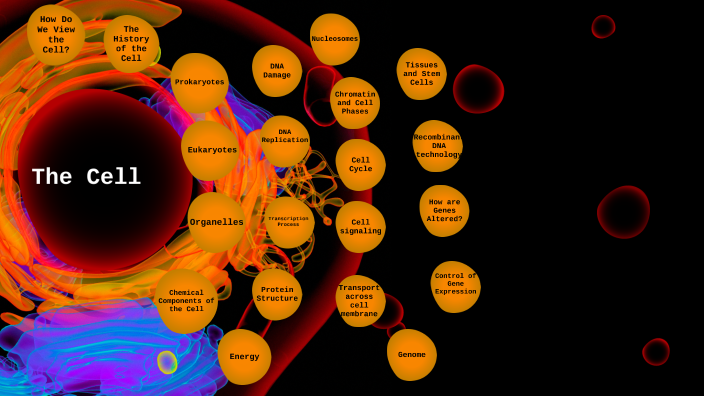 Road Map of the Cell by Skylar Adderley on Prezi