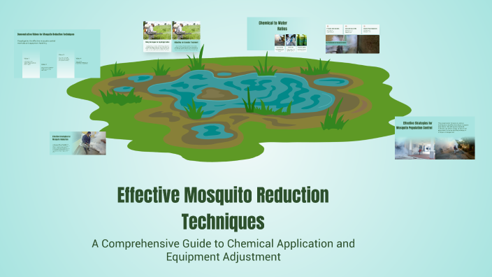 Effective Mosquito Reduction Techniques by Erin Kicklighter on Prezi
