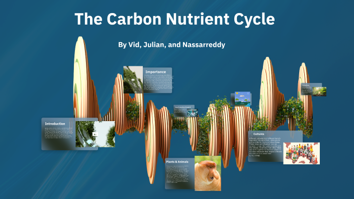 The Carbon Nutrient Cycle by Vidhyuit VV10895 on Prezi