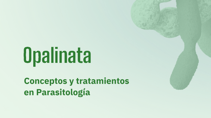 Opalinata by Axel García on Prezi