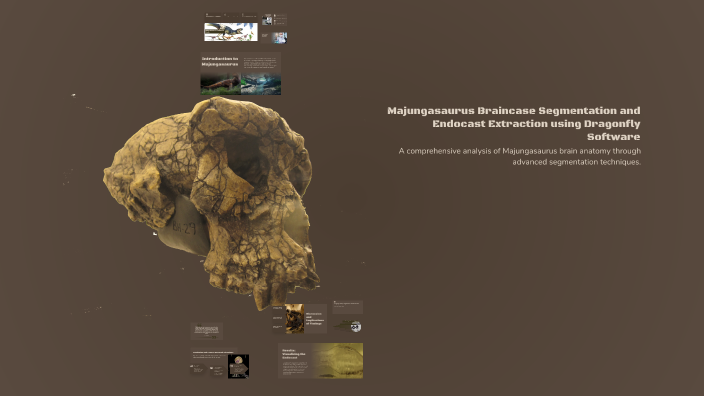 Majungasaurus Braincase Segmentation and Endocast Extraction using ...