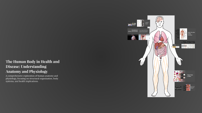 The Human Body in Health and Disease: Understanding Anatomy and ...