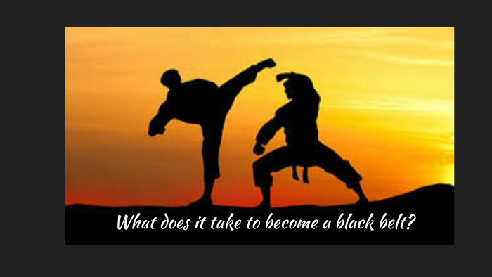What does it take to become a black belt? by Taryn Clay on Prezi