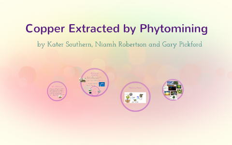 Copper extracted by phytomining by Niamh Robertson on Prezi