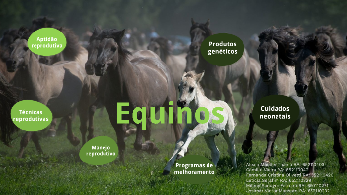 Aptidão reprodutiva em equinos by Mileny Ferreira on Prezi