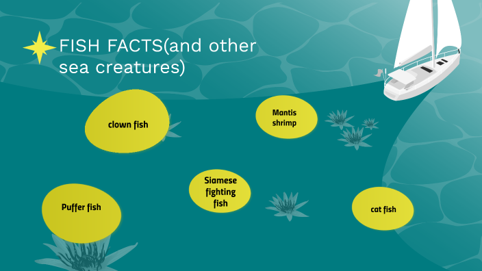 FISH and other sea creatures by Toby Horsfield on Prezi
