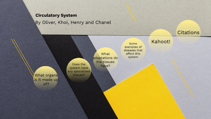Mini Lesson Circulatory System by Oliver Doan Eyde Moeller on Prezi