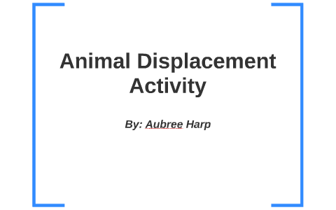 Animal Displacement Activity by Aubree Harp on Prezi