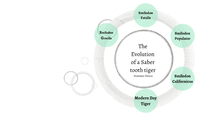 Evolution of the saber tooth tiger by Summer Simon on Prezi