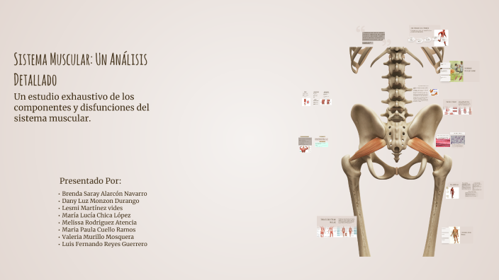 Sistema Muscular: Un Análisis Detallado by Timoteo Ferreteria on Prezi