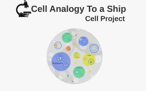 Cell Analogy To a Ship by michelle fulkerson on Prezi