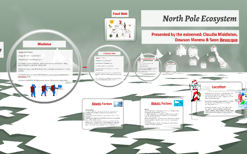 North Pole Ecosystem by Sean Bevacqua on Prezi