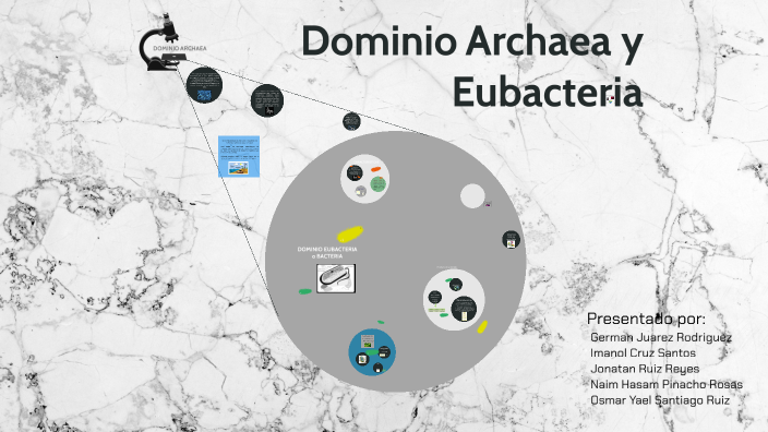 Dominio Archaea y Eubacteria by Cruz Santos Imanol on Prezi