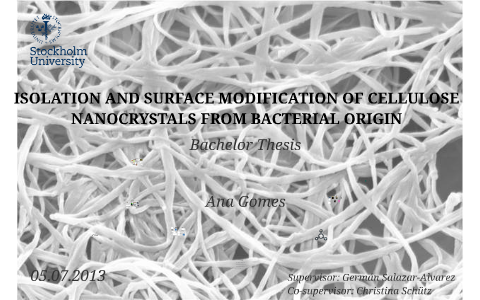 Surface Modification of Bacterial Cellulose by Ana Gomes on Prezi