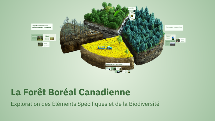 La Forêt Boréal Canadienne by Maxime Lemieux-Muloin on Prezi