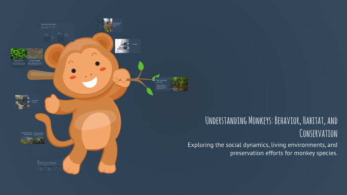 Understanding Monkeys: Behavior, Habitat, and Conservation by Mateșescu ...