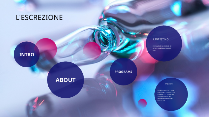 L'ESCREZIONE by mattia mosca on Prezi
