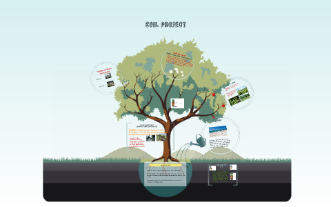Soil Project by Cole Corbett on Prezi