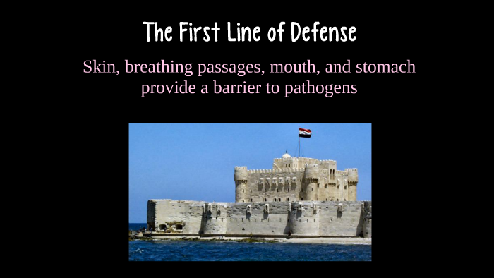 The First Line of Defense by Stephanie Bentley
