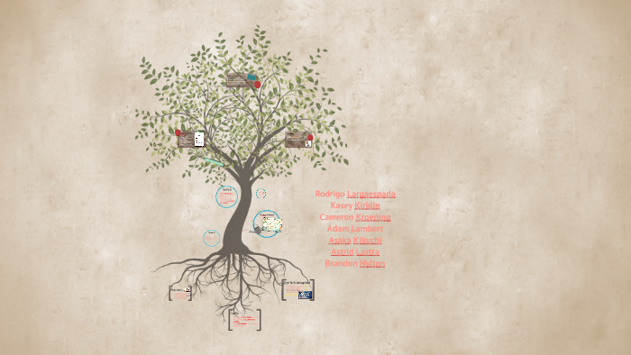 Definition: material that is not wanted; the unusable remain by adam ...