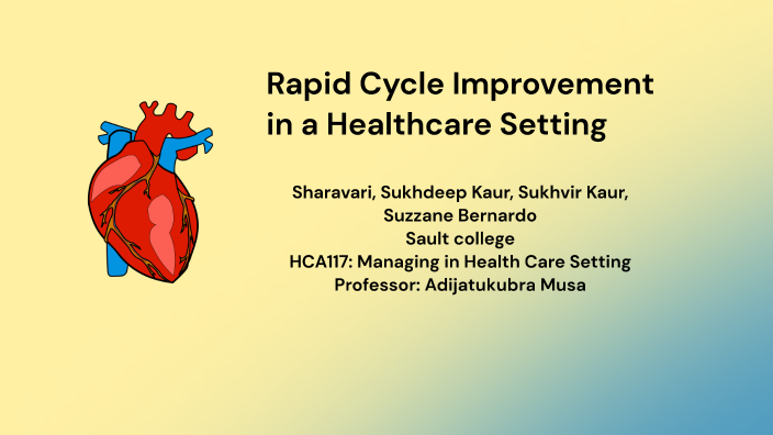 Rapid Cycle Improvement in a Healthcare Setting by Suzzane Bernardo on ...