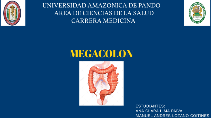 MEGACOLON by manuel lozano on Prezi