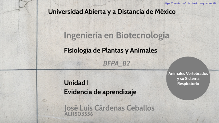 Cuadro Comparativo de Animales y sus procesos fisiológicos by JOSE LUIS ...