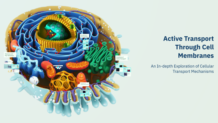 Active Transport Through Cell Membranes by Helena Janik on Prezi