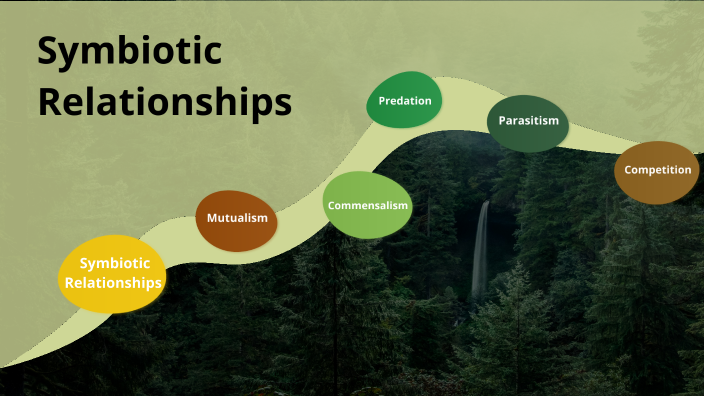 Symbiotic Relationships by Lori Anderson on Prezi