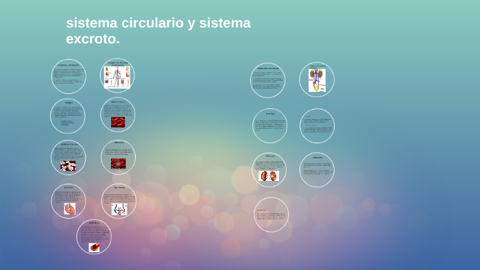 sistema circulario y sistema excroto by constanza molina on Prezi